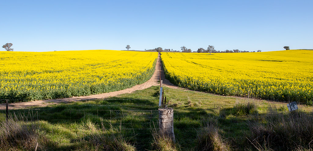 Sarah Maddock talks with The Bicycle Show on 94.7FM The Pulse